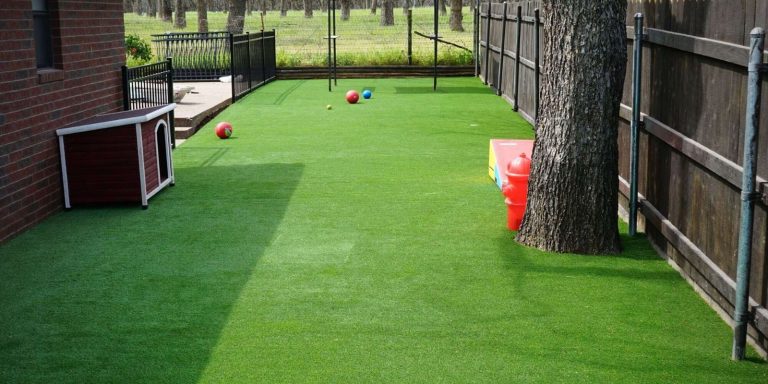 Dog Run Ideas: The #1 Guide To Pet-Friendly Dog Potty Areas
