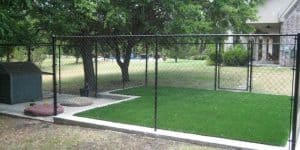 Dog Run Ideas: The #1 Guide To Pet-Friendly Dog Potty Areas