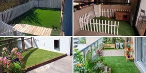 Dog Run Ideas: The #1 Guide To Pet-Friendly Dog Potty Areas