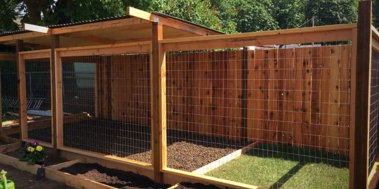 Dog Run Ideas: The #1 Guide To Pet-Friendly Dog Potty Areas