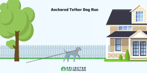 Dog Run Ideas: The #1 Guide To Pet-Friendly Dog Potty Areas