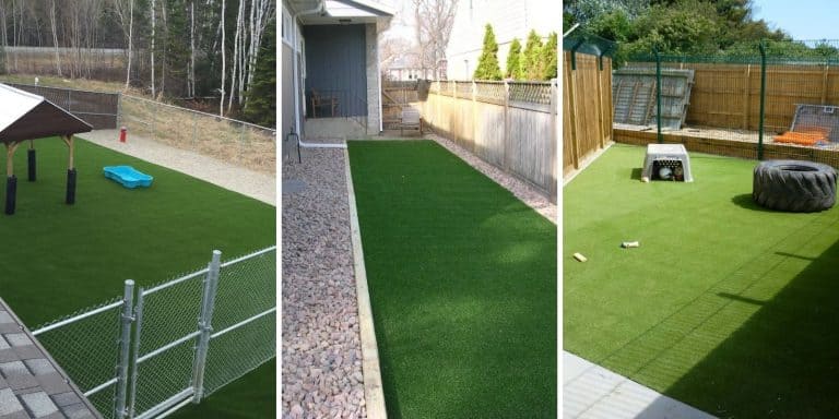 Dog Run Ideas: The #1 Guide To Pet-Friendly Dog Potty Areas