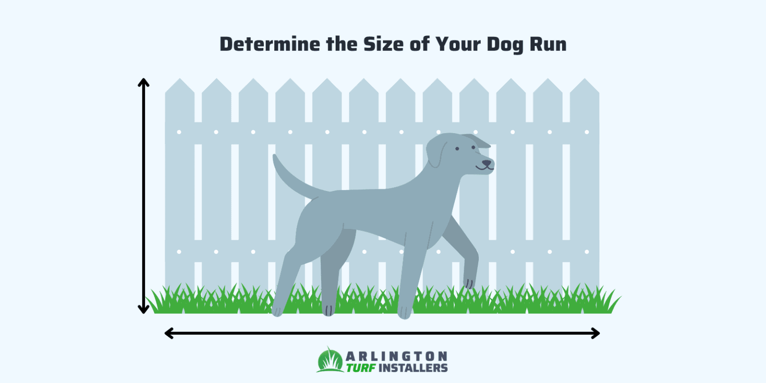 Dog Run Ideas: The #1 Guide To Pet-Friendly Dog Potty Areas