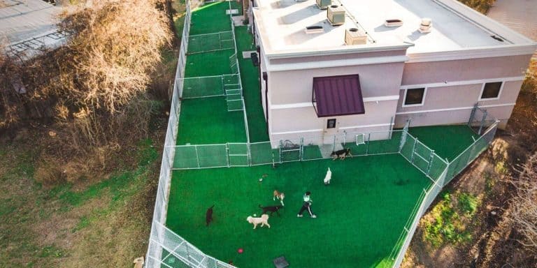 Dog Run Ideas: The #1 Guide To Pet-Friendly Dog Potty Areas